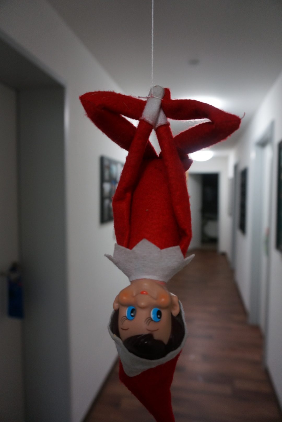 Elf on the Shelf - Adventures in Elfing - Eye in the Detail by Jessie Ecker